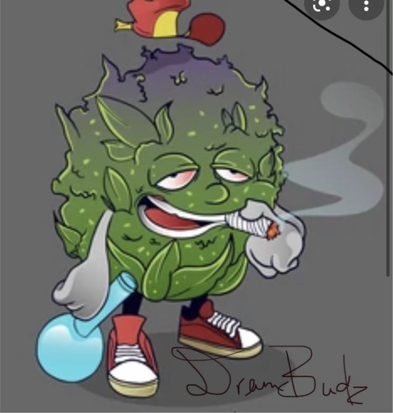 Scan Image To Vector Conversion Services – High-Quality Results